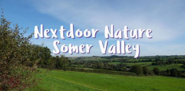 HOME - Meaningful Measures - The home of MYCaW® and MYMOP®